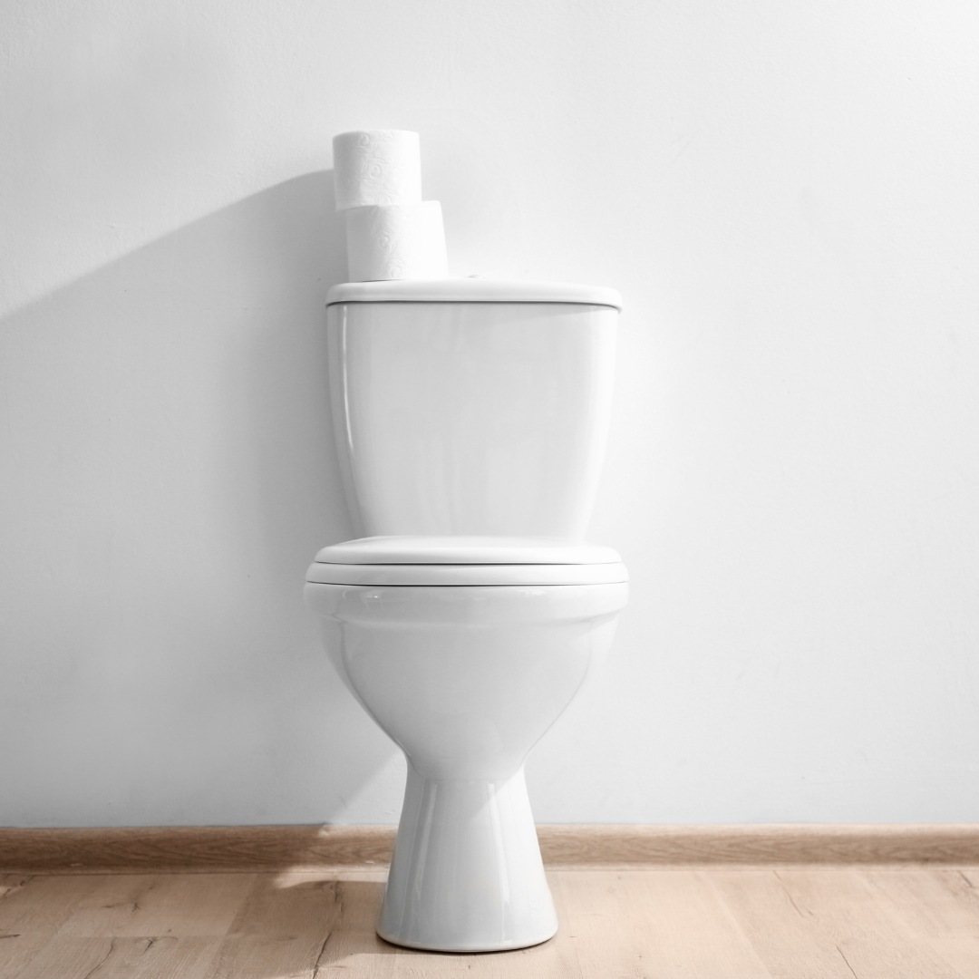 Exploring the Wide World of Toilet Hygiene: A Comprehensive Guide ...